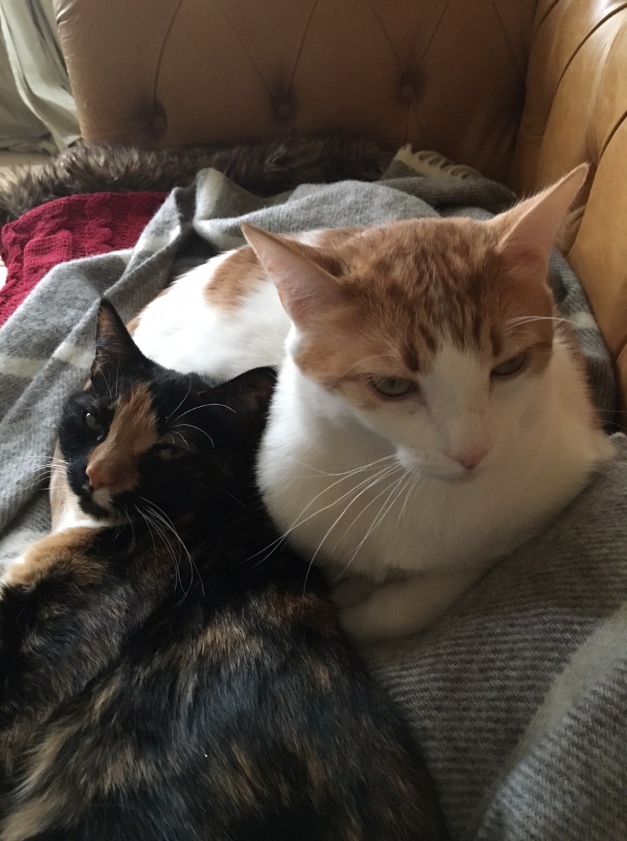 Weekes in Existential Crisis – Winter-Maker